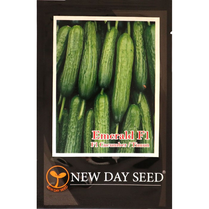 Kyuri Emerald F1 Cucumber Seeds / Japanese Cucumber / Cucumber (New Day ...