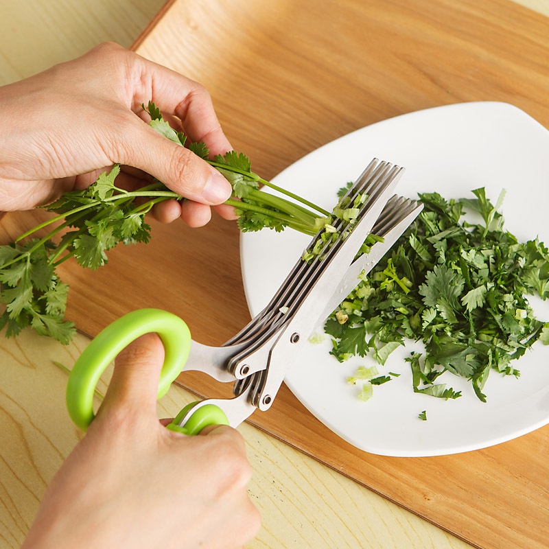 Multilayer Scissors Scallion Cutter Stainless Steel 5 Blade Multi ...