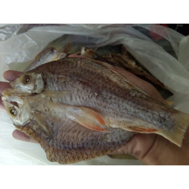 Fresh River Fish lampam Fish (muslim Product) | Shopee Singapore