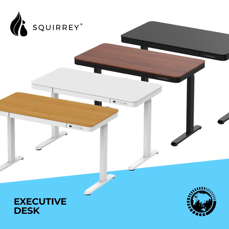 [Hot Sale] Squirrey Electric Height Adjustable Desk - Executive Edition ...