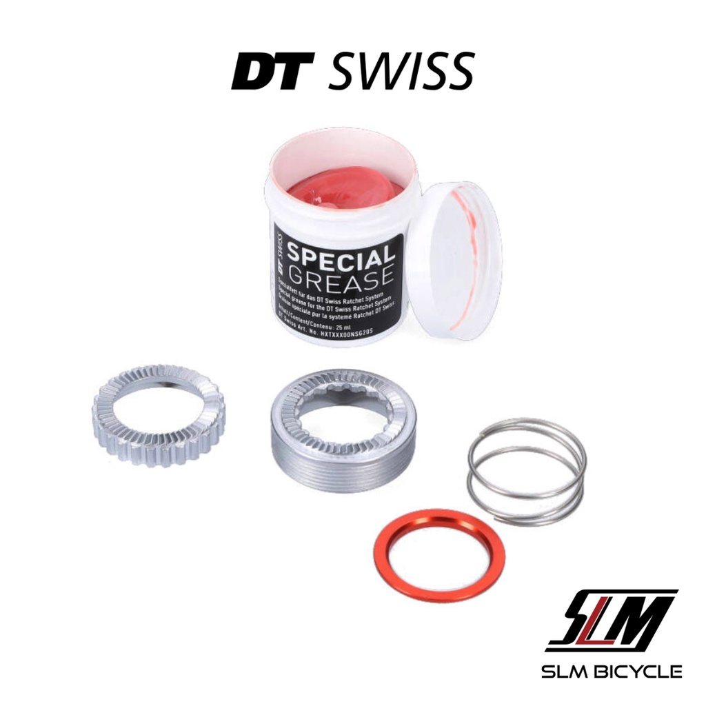 DT Swiss Service Kit Ratchet Version with 54 Teeth for Ratchet EXP ...