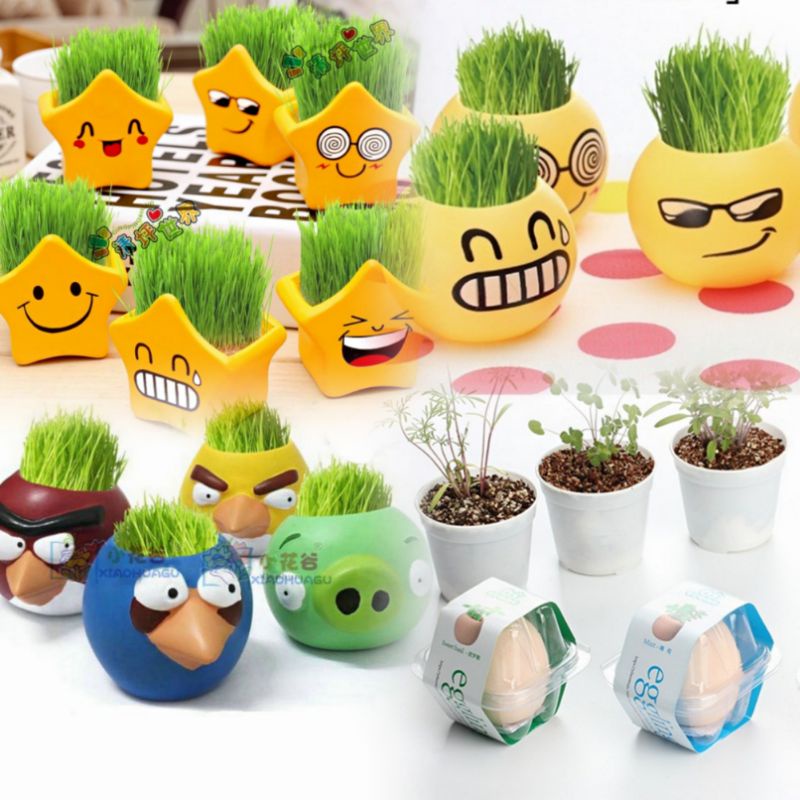 (SG Seller )Creative Office Mini Plant Potted Green Grass Planted Grass ...