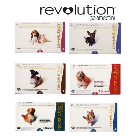 Revolution Solutions for Cats , Puppies, Rabbits and Dogs | Shopee ...