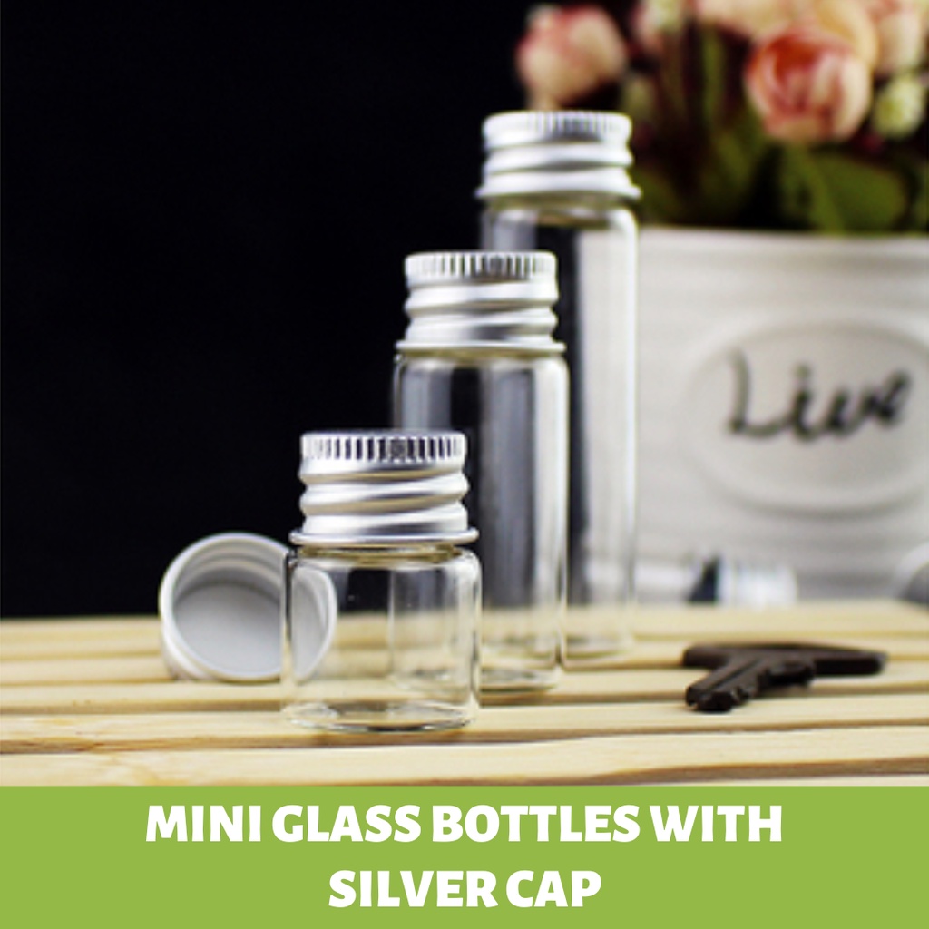 Mini Glass Bottles with Silver Cap | Mini Storage Containers | DIY ...