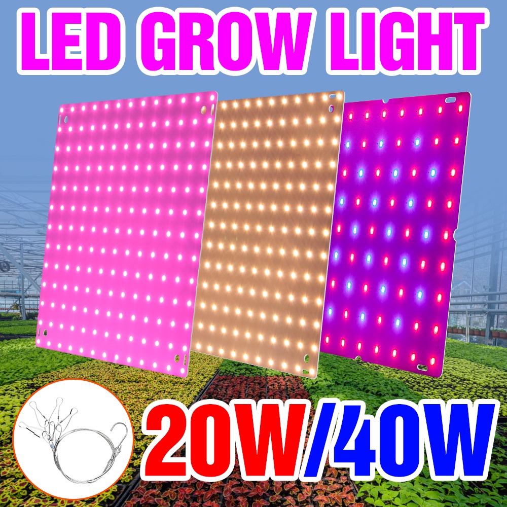 Indoor Phyto Lamp 20W 40W LED Grow Light LED Growing Tent Full Spectrum ...