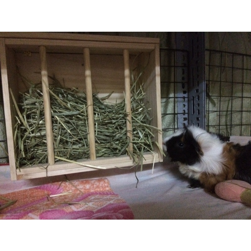 Grass Troughs / Dry Grass Trays For Rabbits, Bugs (Guine Mouse) With ...