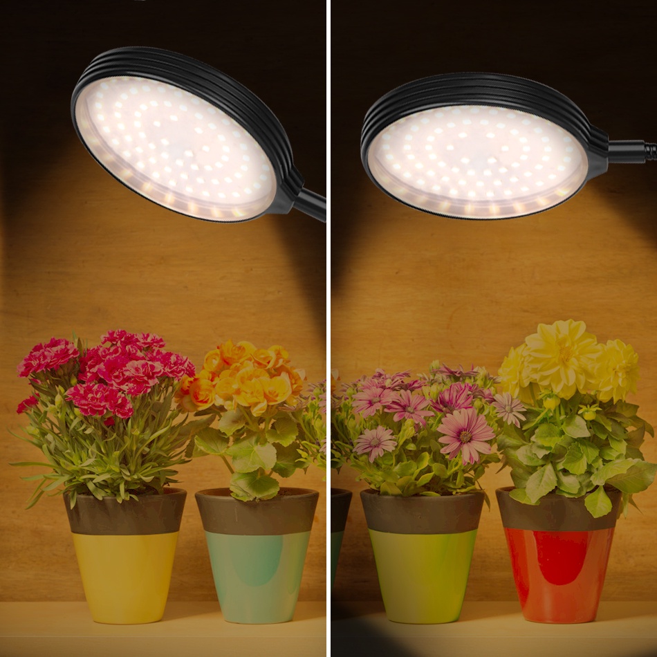 Round Red+Blue/Sunlight Plant Grow Light Full Spectrum Grow Phyto Lamp ...