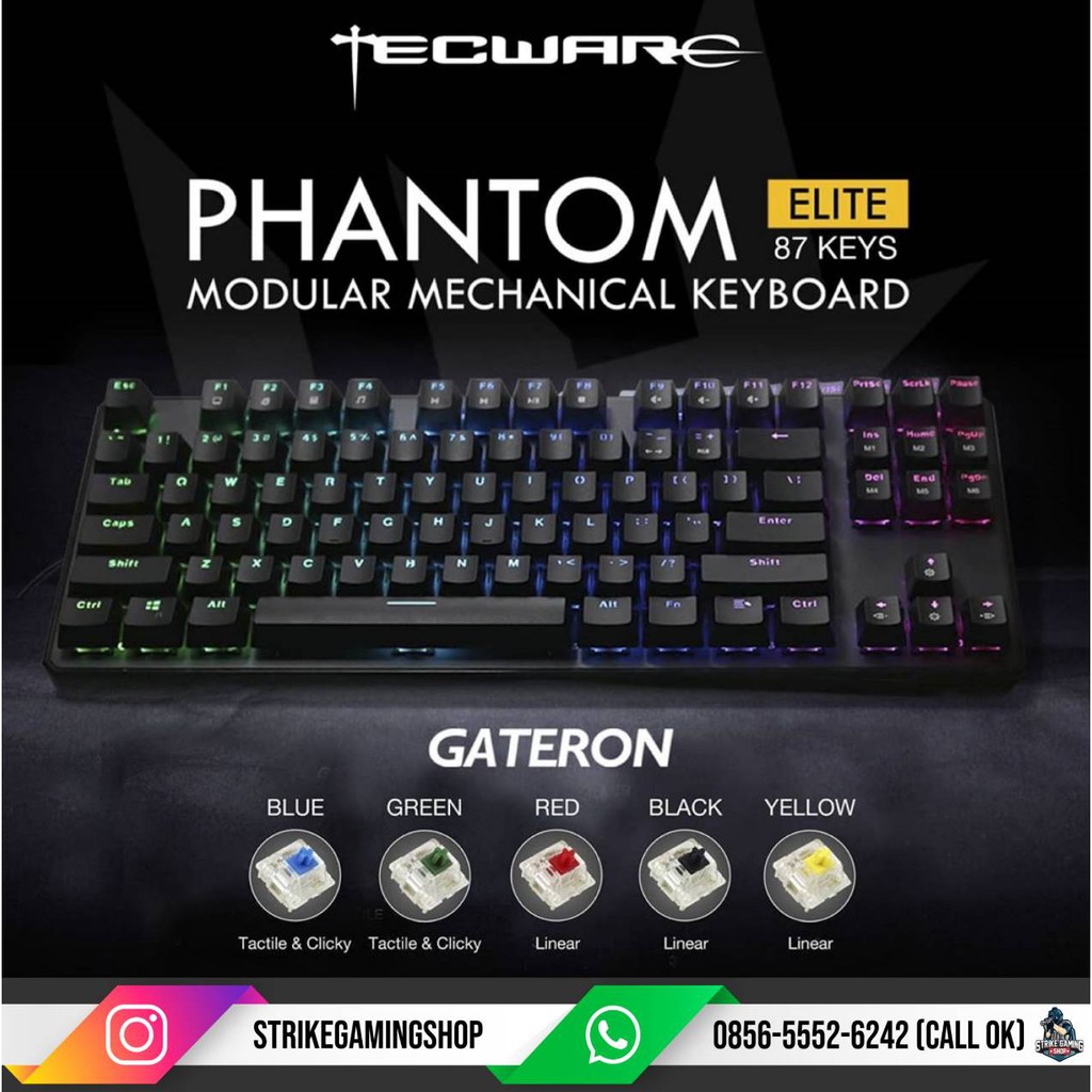 Tecware PHANTOM ELITE 87 GATERON TKL RGB GAMING KEYBOARD | Shopee Singapore