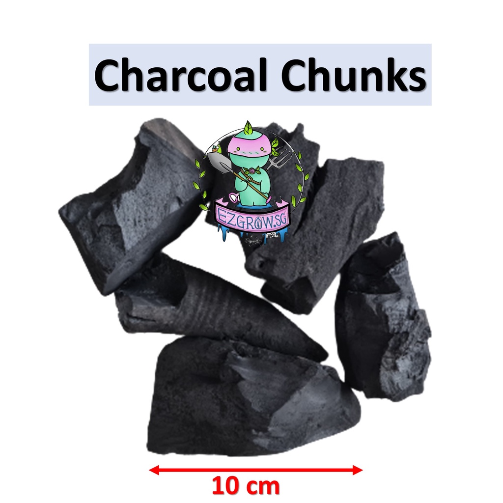 Charcoal Chunks and Charcoal Chips Help Drainage for Gardening (Fr SG ...