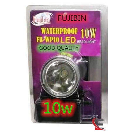FUJIBIN High Power Rechargeable Weatherproof LED Head Lamp 10W/20W ...