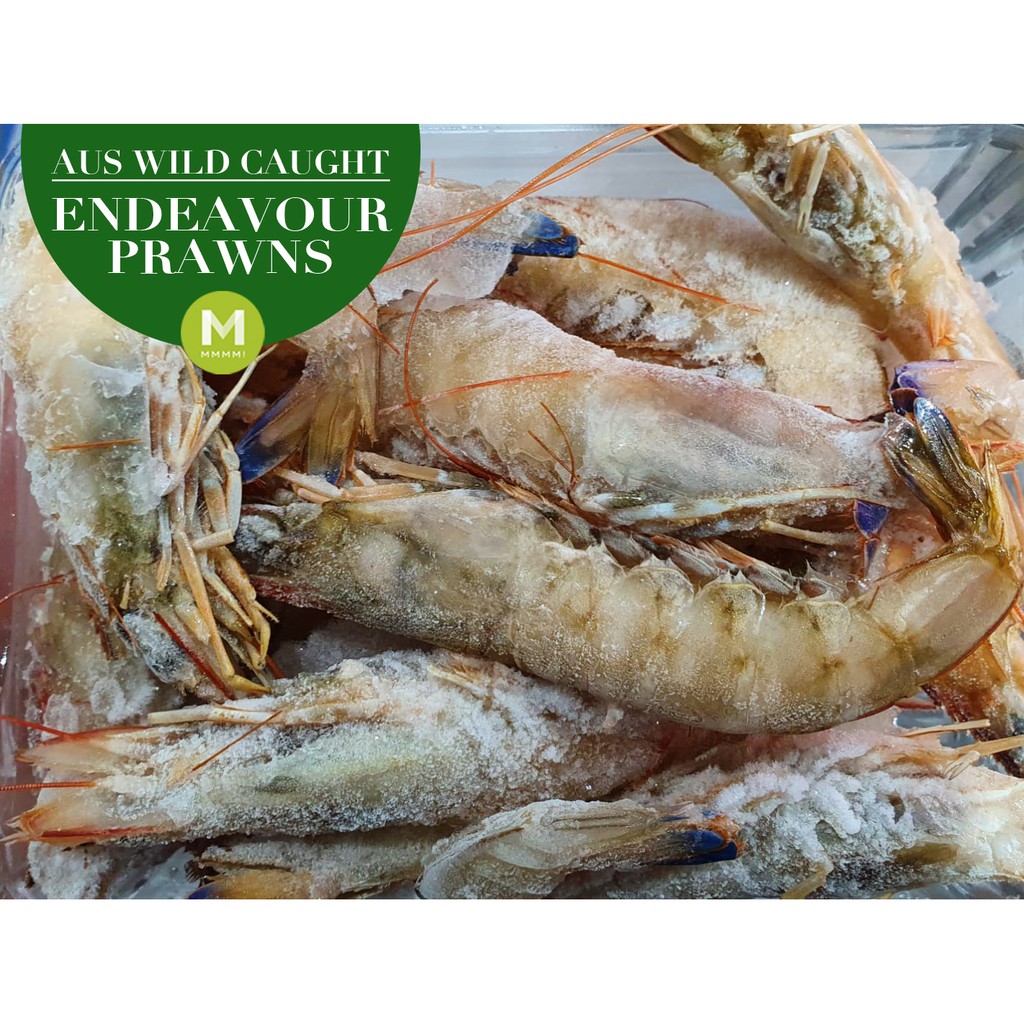 (3kg) Frozen AUS Wild Caught Endeavour Prawns U15 | Shopee Singapore