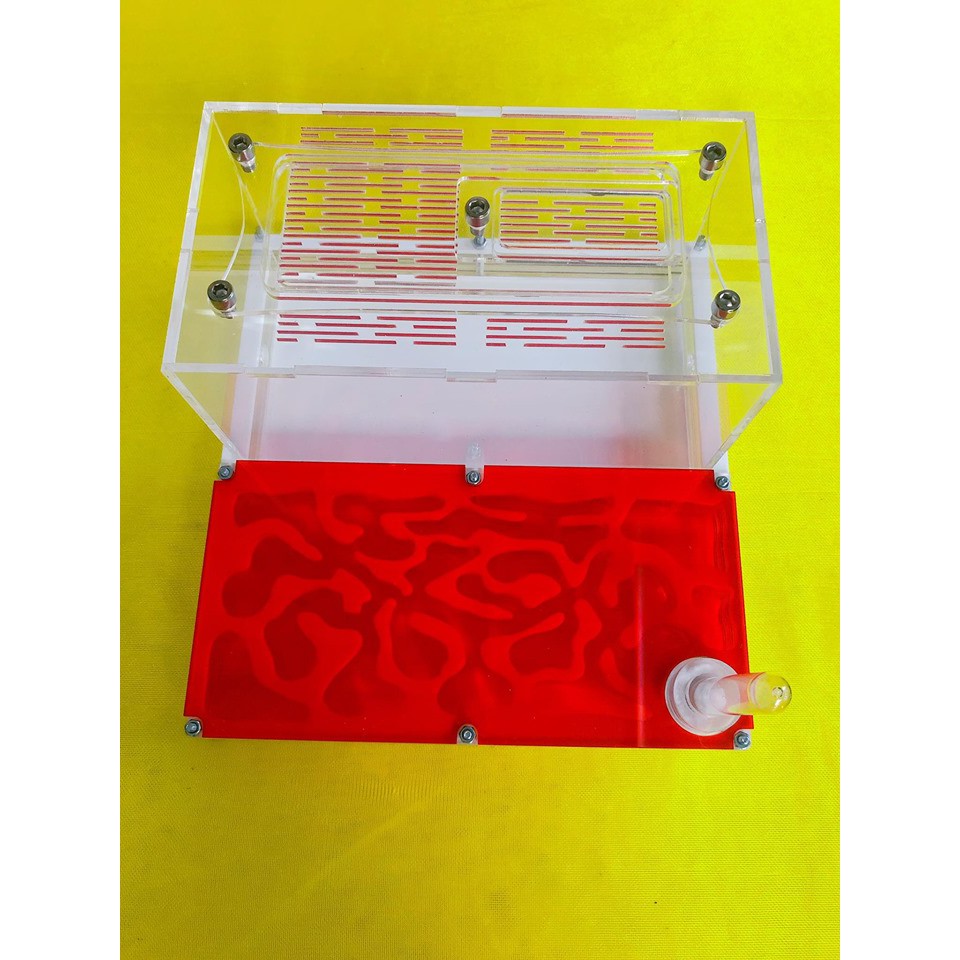 Ant breeding box 20-20-10cm (acrylic Formicarium) | Shopee Singapore