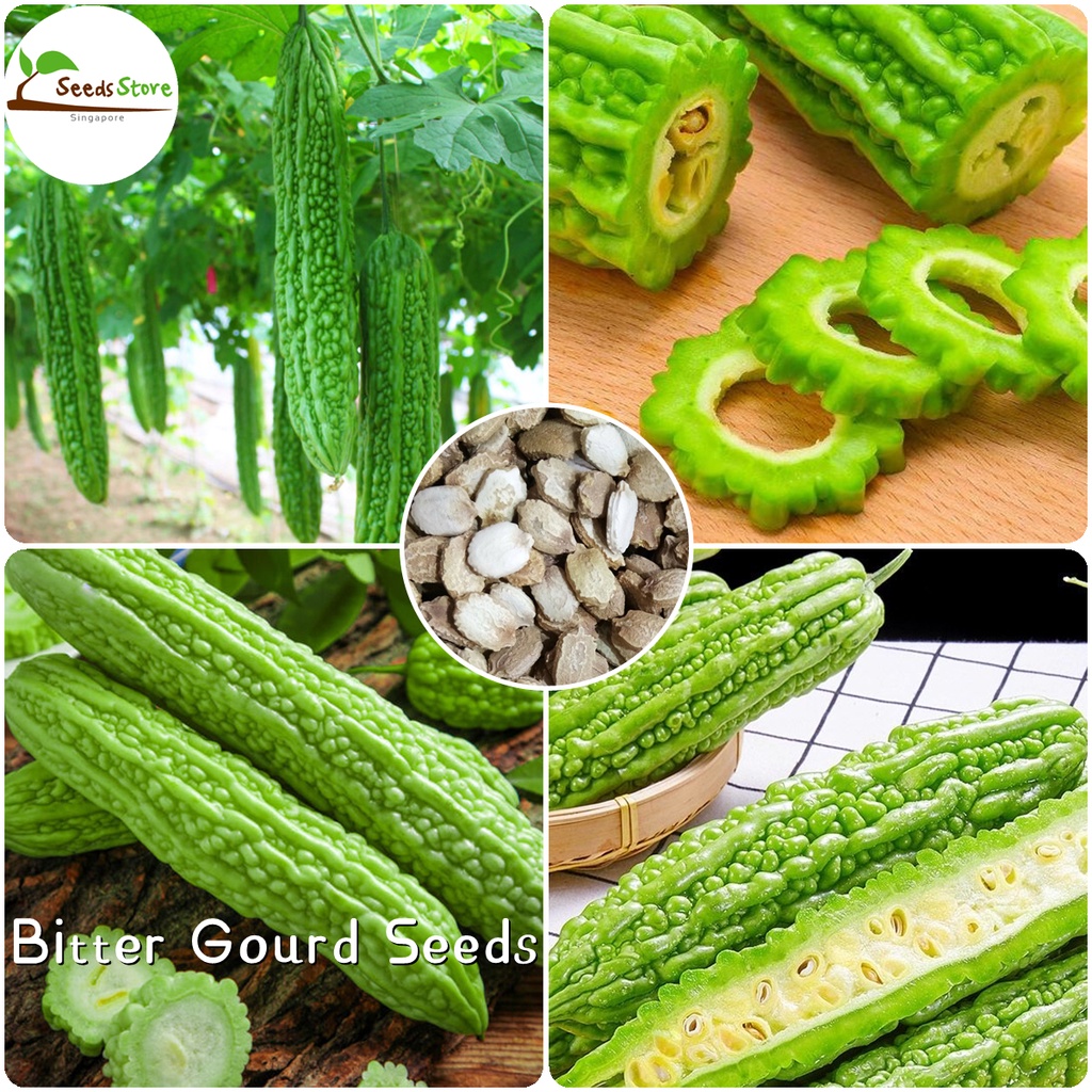 50pcs Bitter Gourd Seeds vegetable Plants for Sale Microgreens Seeds ...