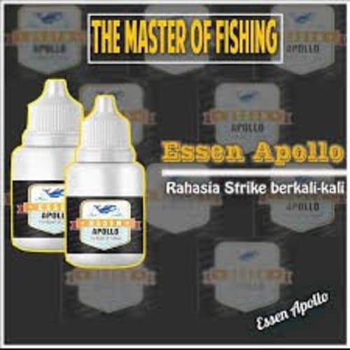 Selling 100% Original Apollo Essen Discount Galatama Gold Babon Fish ...