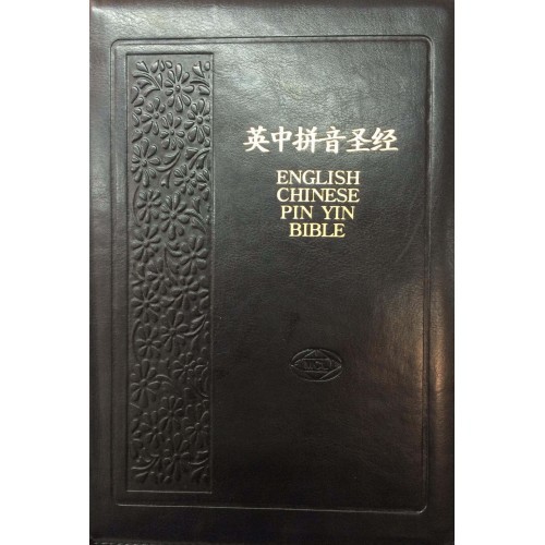 Bilingual Bible: Chinese Pin Yin-English Bible, CUNP- KJV, Chinese ...