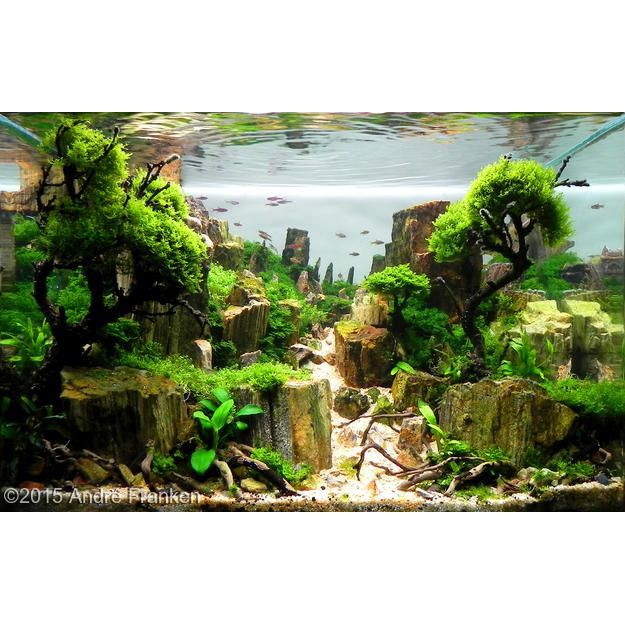 Wood Fossil Rock Purified Wood Rock aquarium aquascape fish tank ...