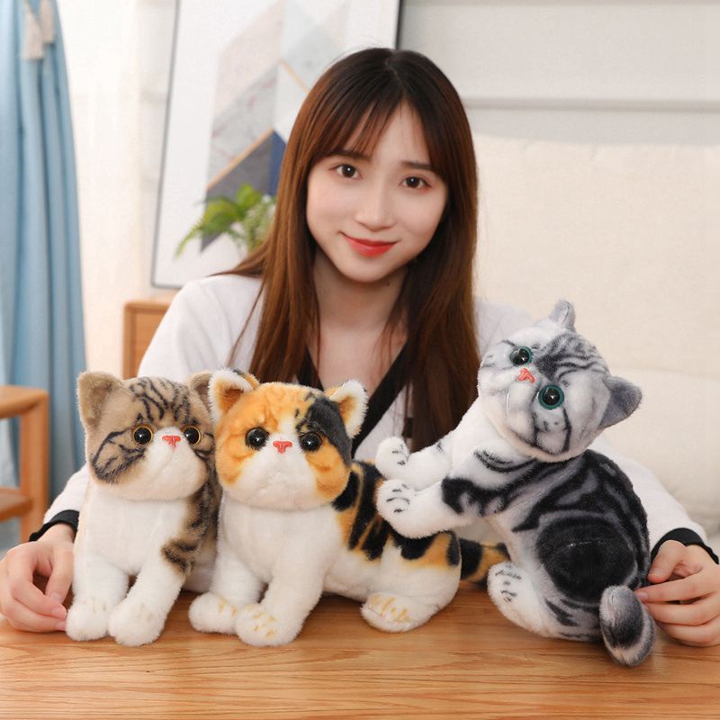 26cm Stuffed Lifelike Cats Plush Toy Simulation American Shorthair Cute ...