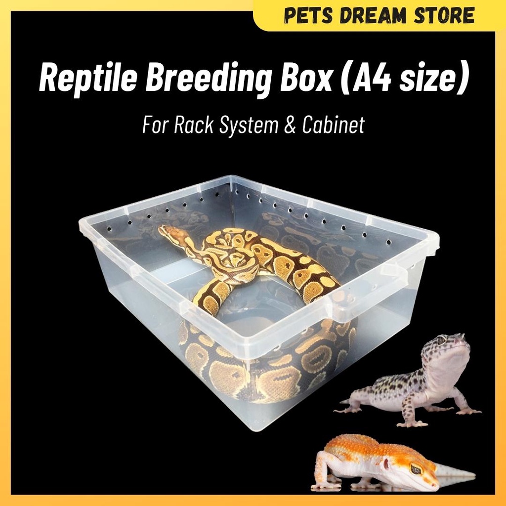 [A6&A4 Size] Reptile Breeding Box Gecko Rack System container box a4 ...