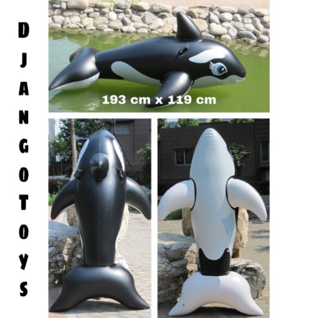 Whale Ride On Whale Floats Dolphin Ride On Dolphin Float Inflatable ...