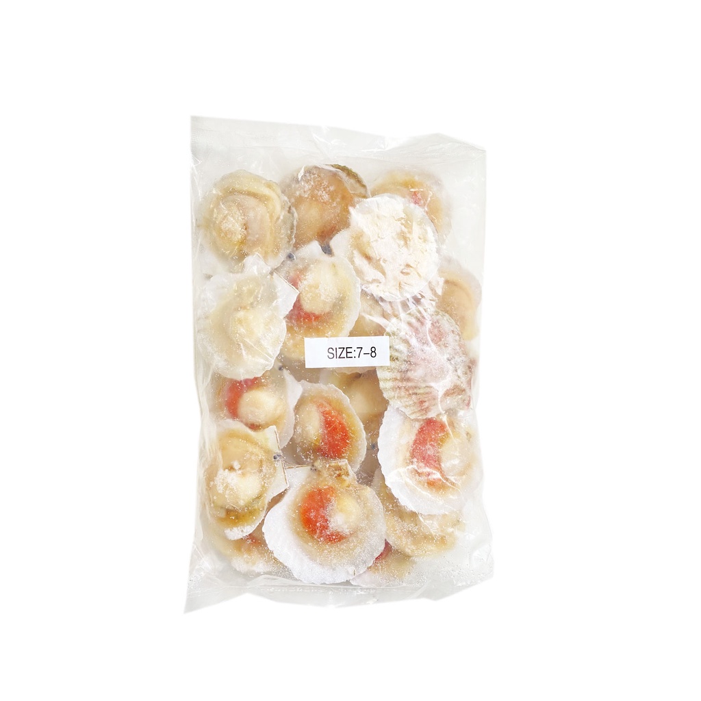 Half Shell Scallop - 8/9Cm | Shopee Singapore