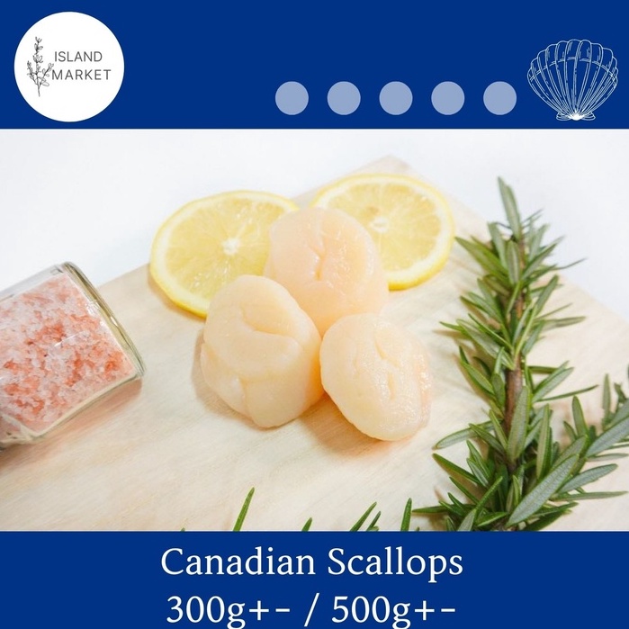 [Island Market] Canadian Scallops - 300g+- / 500g+- | Shopee Singapore