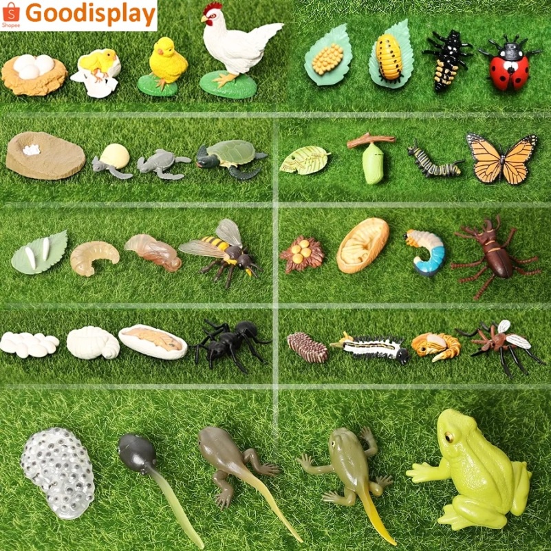 Various educational toys, life cycle, animals, animal figures, life ...