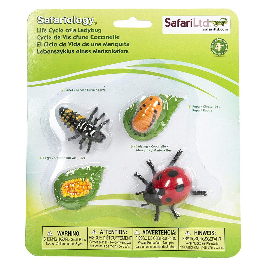 Safari Ltd Life Cycle of a Ladybug | Shopee Singapore
