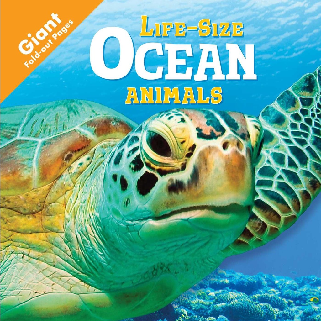 Ocean Animals (Board book – Lift the flap) | Shopee Singapore
