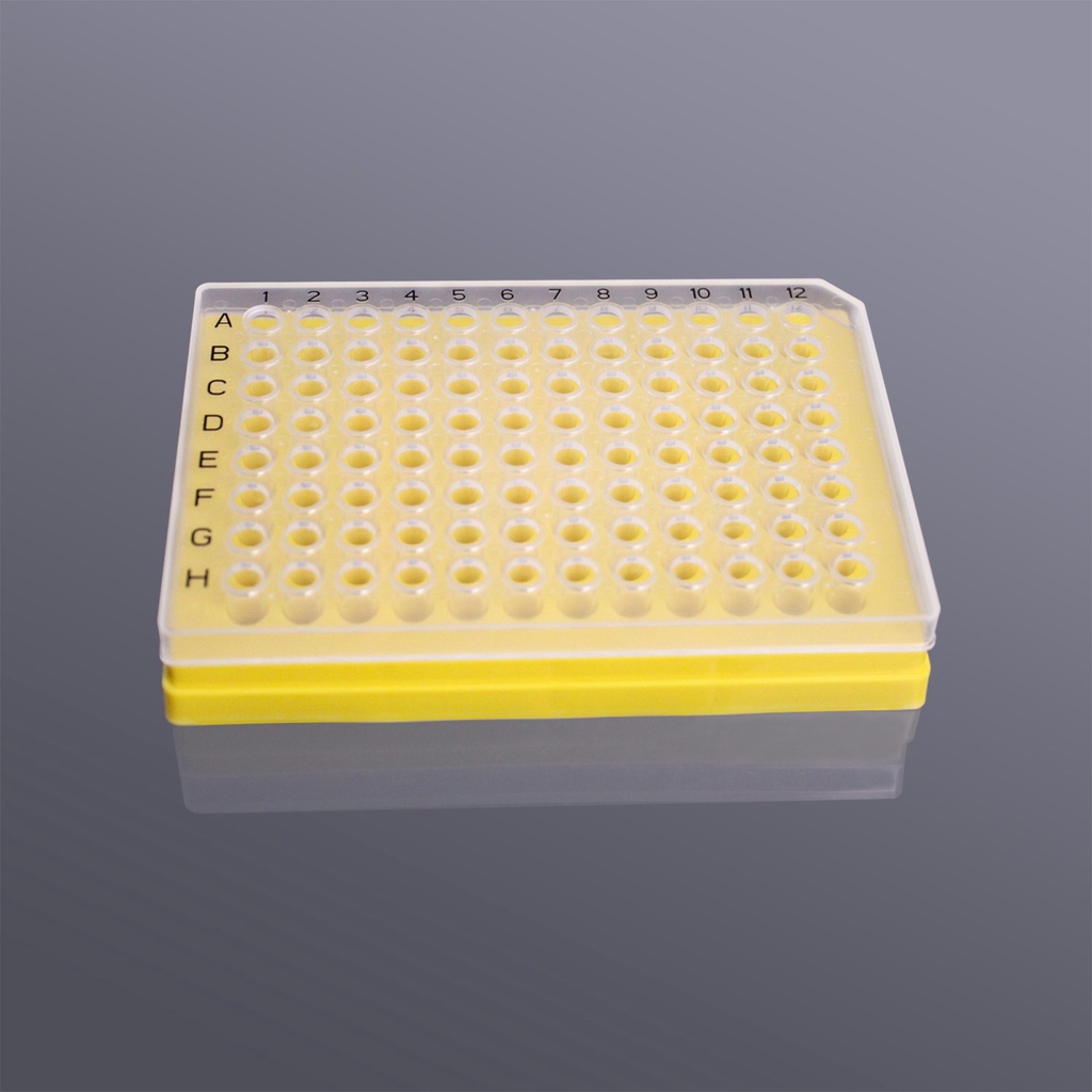 0.2mL PCR tube rack, for PCR tubes and 96 PCR plate | Shopee Singapore