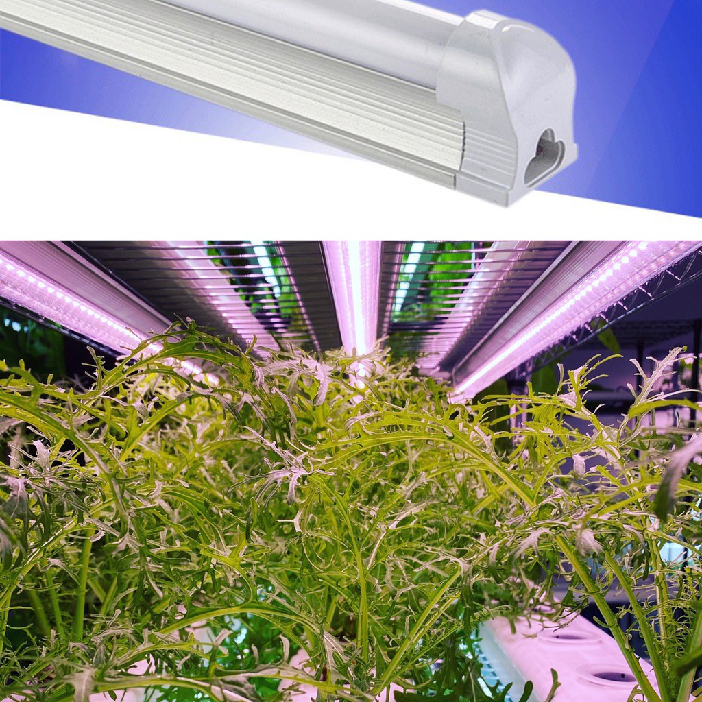 LED Full Spectrum Grow Light for Plants Indoor Hydroponics | Shopee ...