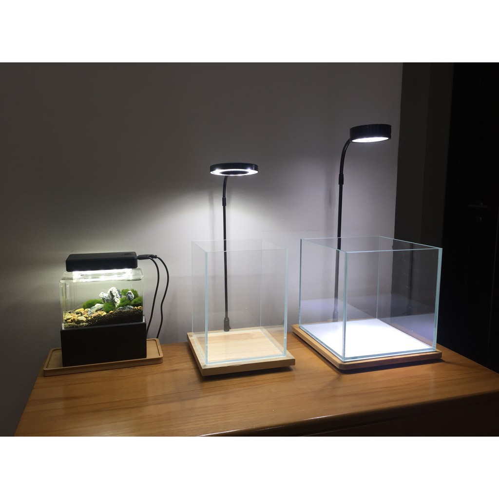 Acrylic fish tank/aquarium - cubic tank 20cm | Shopee Singapore