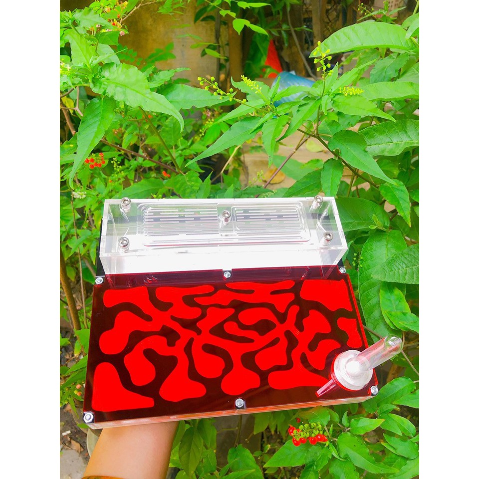 Formicarium acrylic / Ant nest / ant box 20-15cm | Shopee Singapore