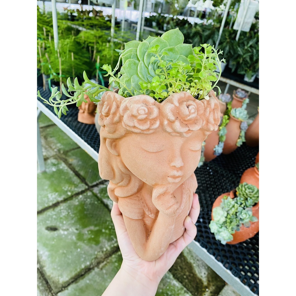 Assorted Cactus Bottled Pot ( S-M-L)-Table top/ Office plant | Shopee ...