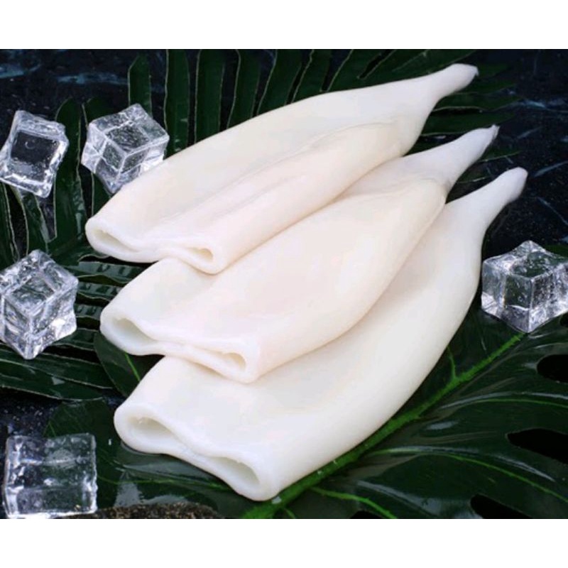 Frozen Squid Tube 1kg | Shopee Singapore