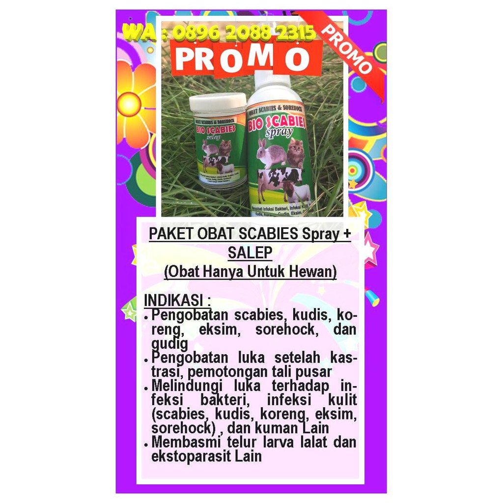 The Most Effective Scabies Medicine for Animals, Rabbit Scabies ...