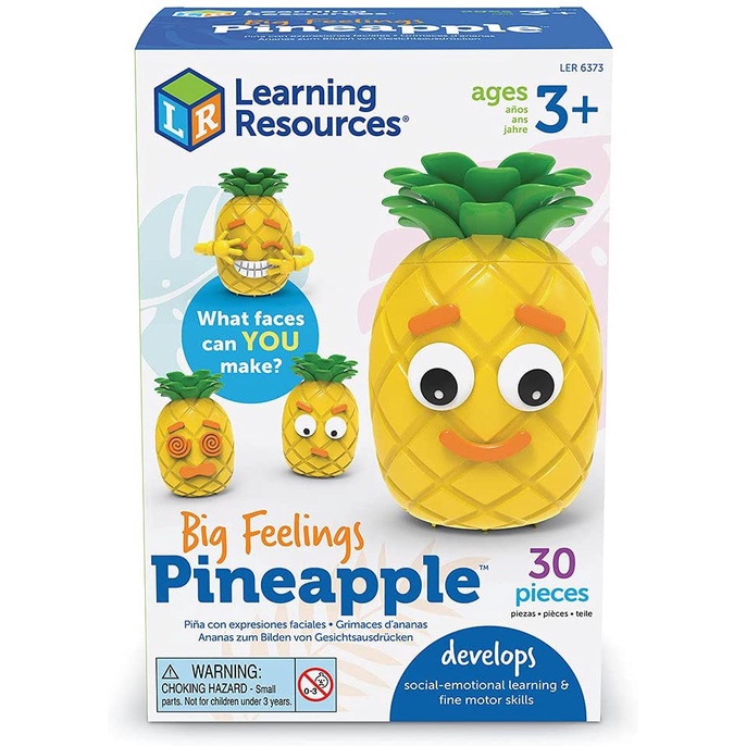 Learning Resources LER6373 Big Feelings Pineapple (Social Emotion ...