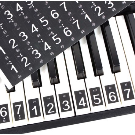 Music Keyboard Piano Stickers 49 54 61 Key for Label Notes Piano ...