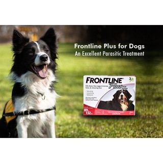 Frontline Plus For Dogs and Cats All Sizes 6 Pipettes | Shopee Singapore