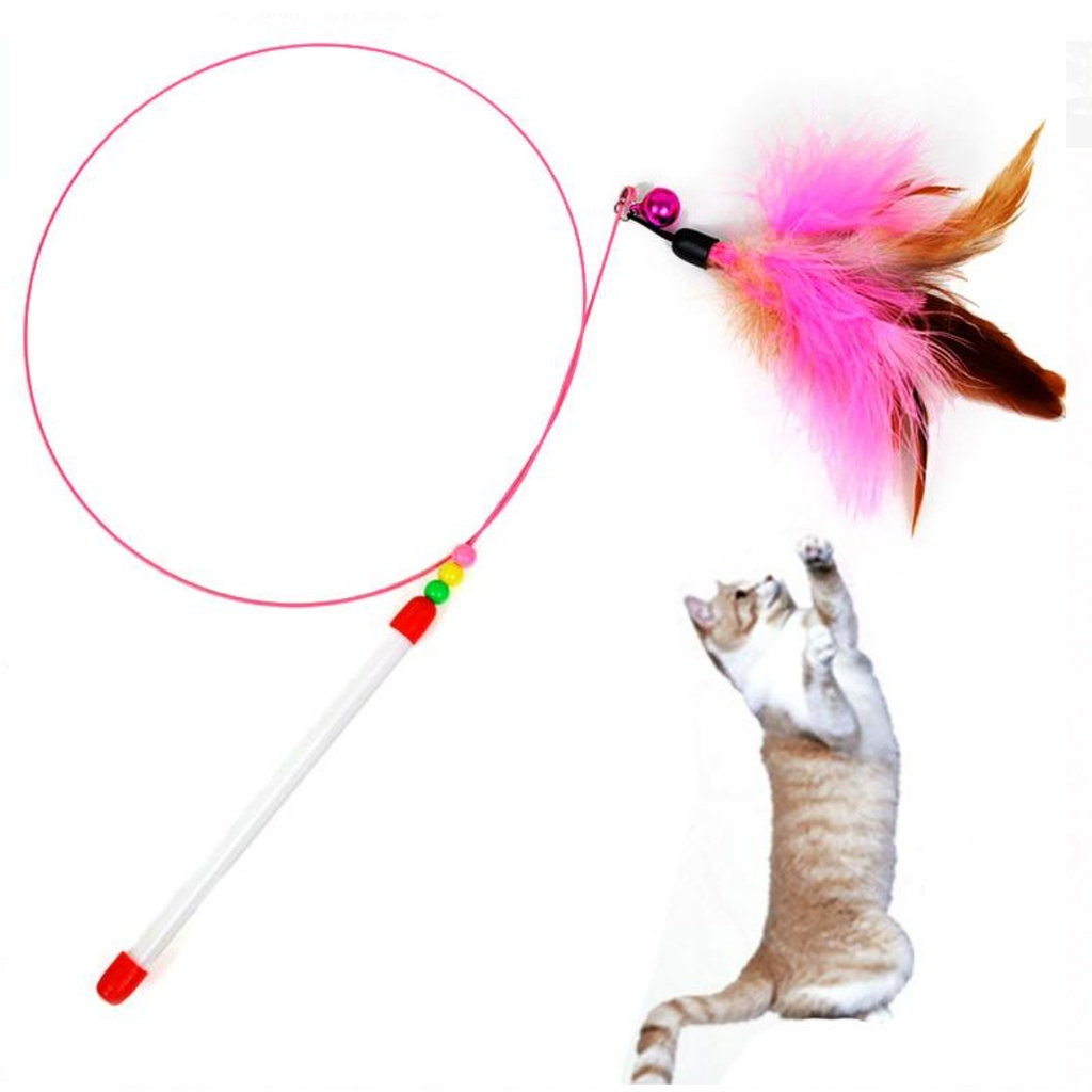 Cat Toy Feather Wand, Interactive Training Toy Fishing Cat Pole and ...