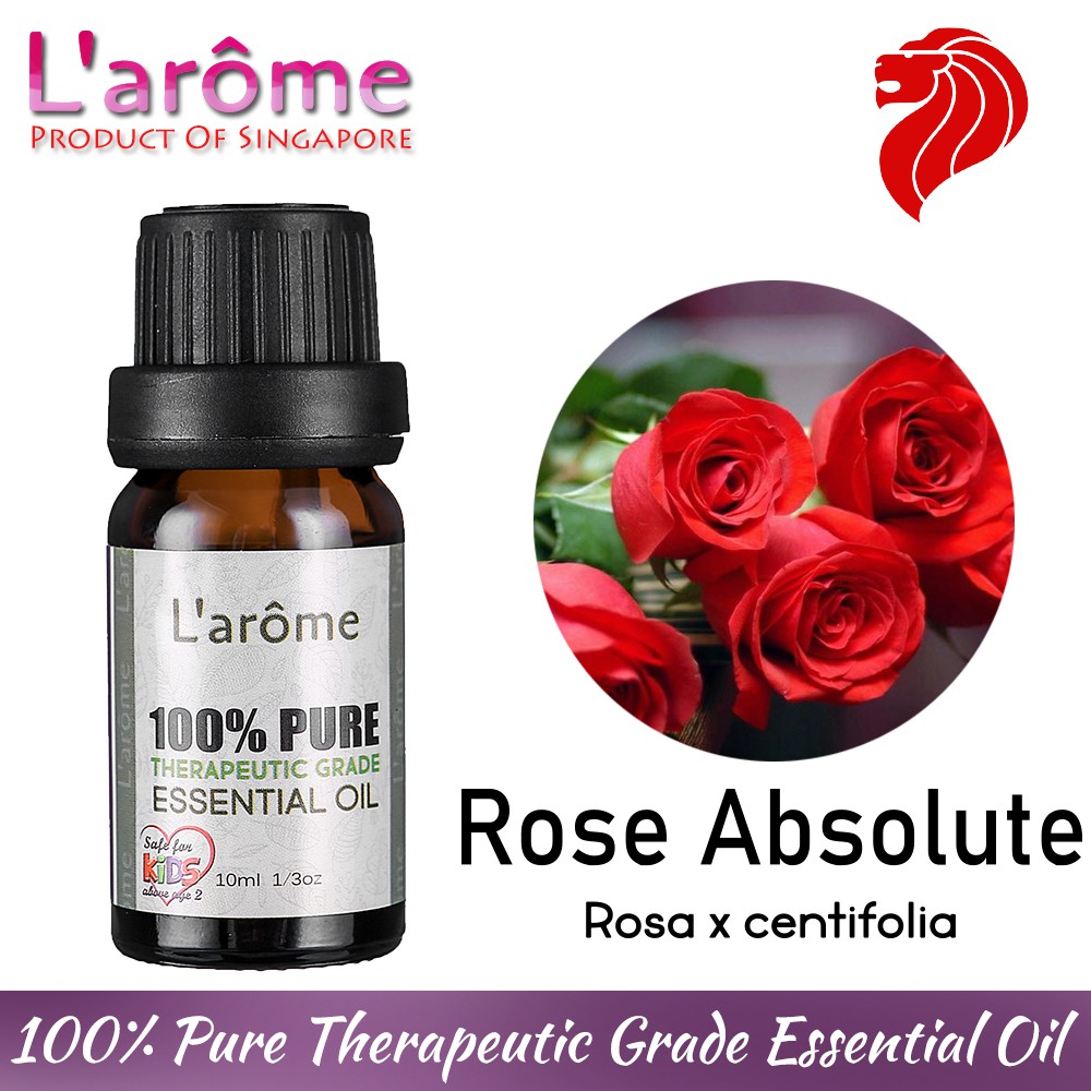 L'arome Rose Absolute [10ml] 100% Pure Therapeutic Grade Natural ...