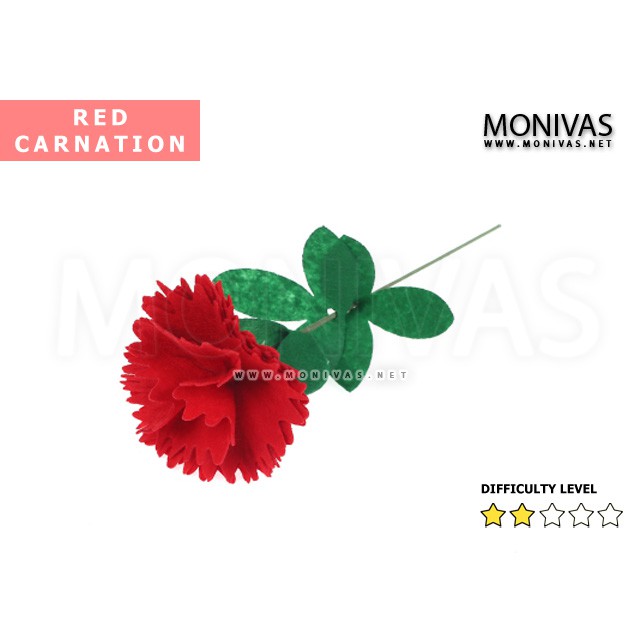 Red Carnation Flower DIY Crafting Unique Handmade Birthday Gift ...