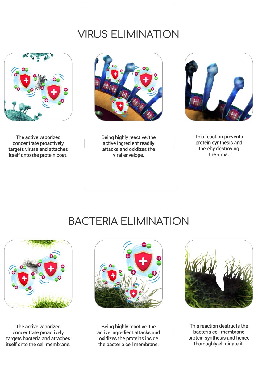 novita Humidifier NH810 Bundle with Air Purifying Solution Concentrate ...