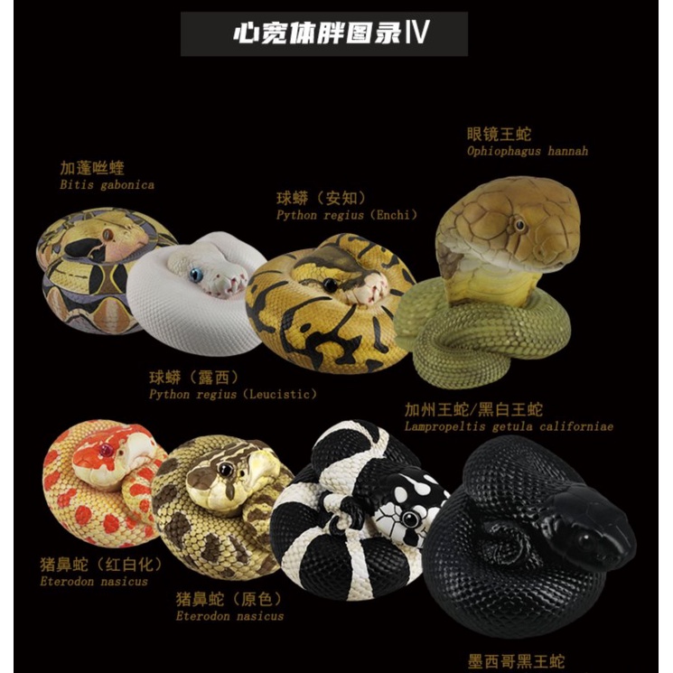 Animal Planet Heart Wide Body Fat Snake Chapter Plus Fluffy Viper Ball ...