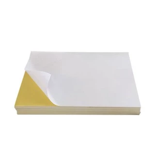 Buy sticker paper Products At Sale Prices Online - July 2025 | Shopee ...