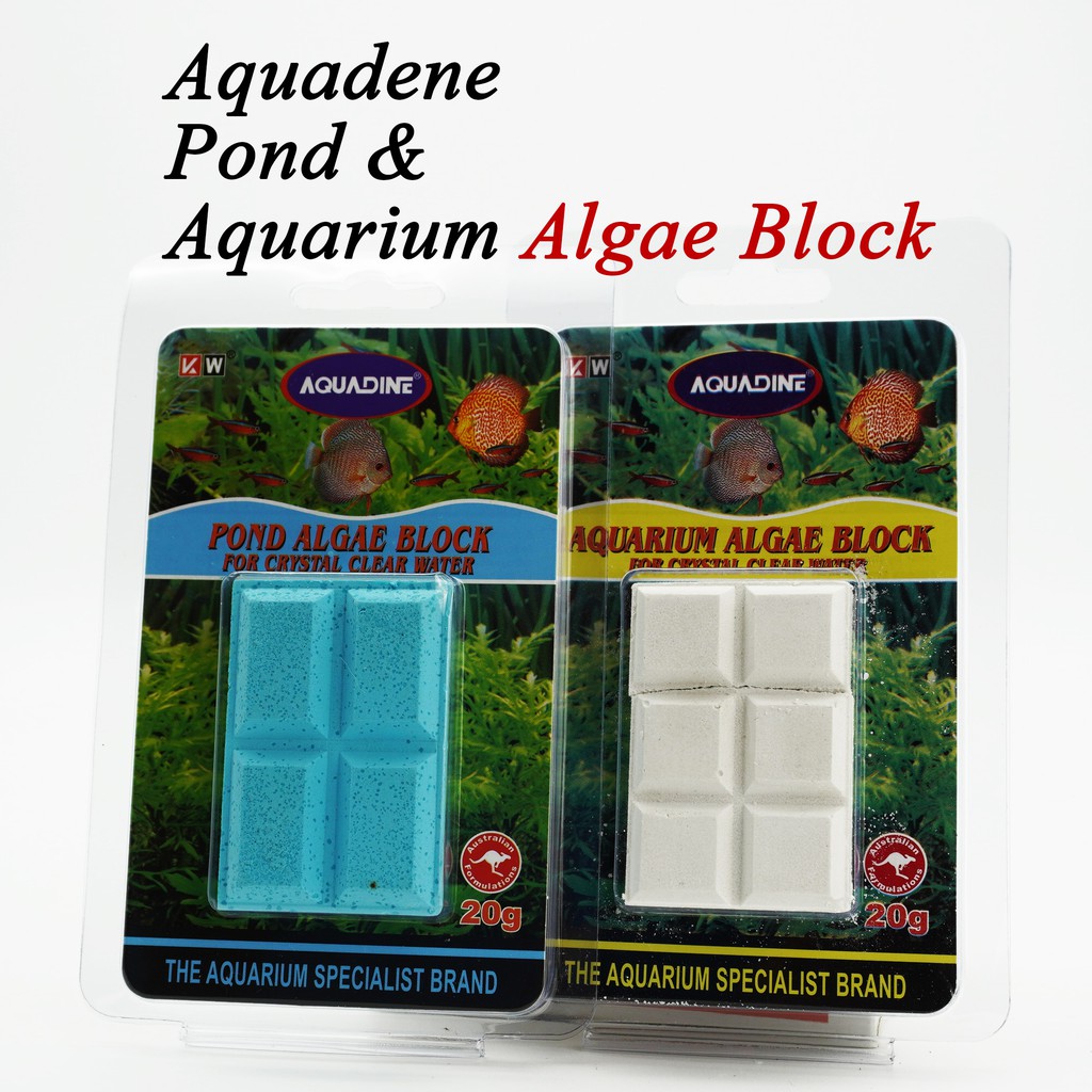 Aquadene Pond Algae Block Aquarium Algae Block 20g Prevent Algae Growth ...