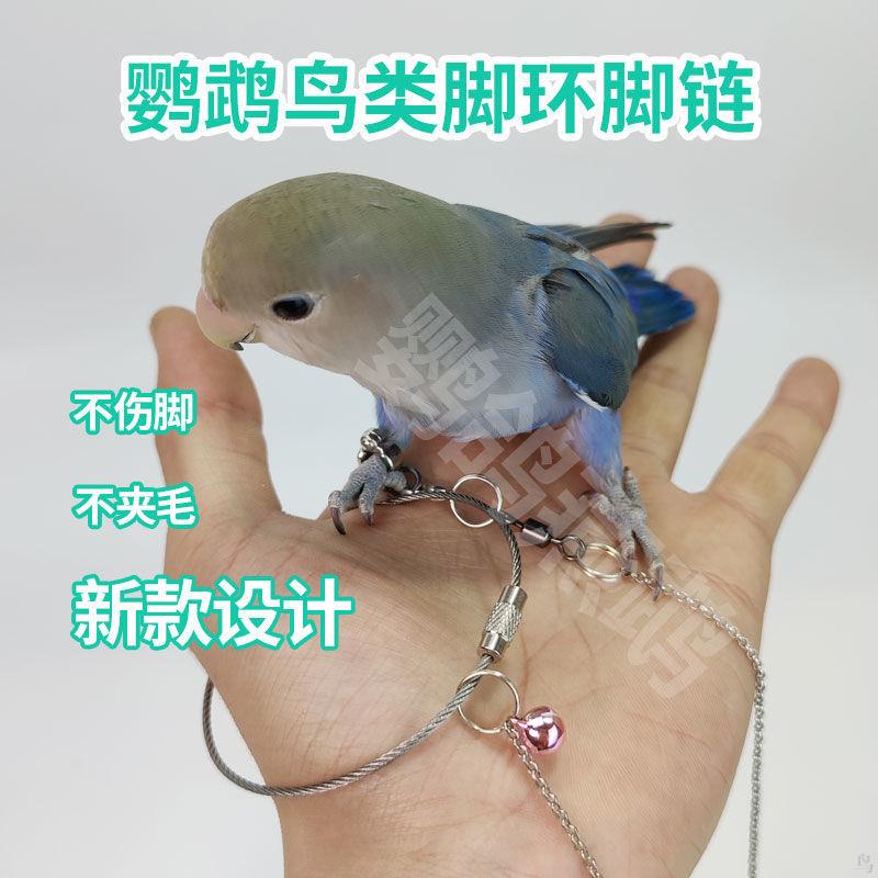 Readystock鹦鹉训练脚链鸟类足环虎皮牡丹玄凤八哥外出放飞绳超轻防咬不伤脚Parrot training Anklet bird ...