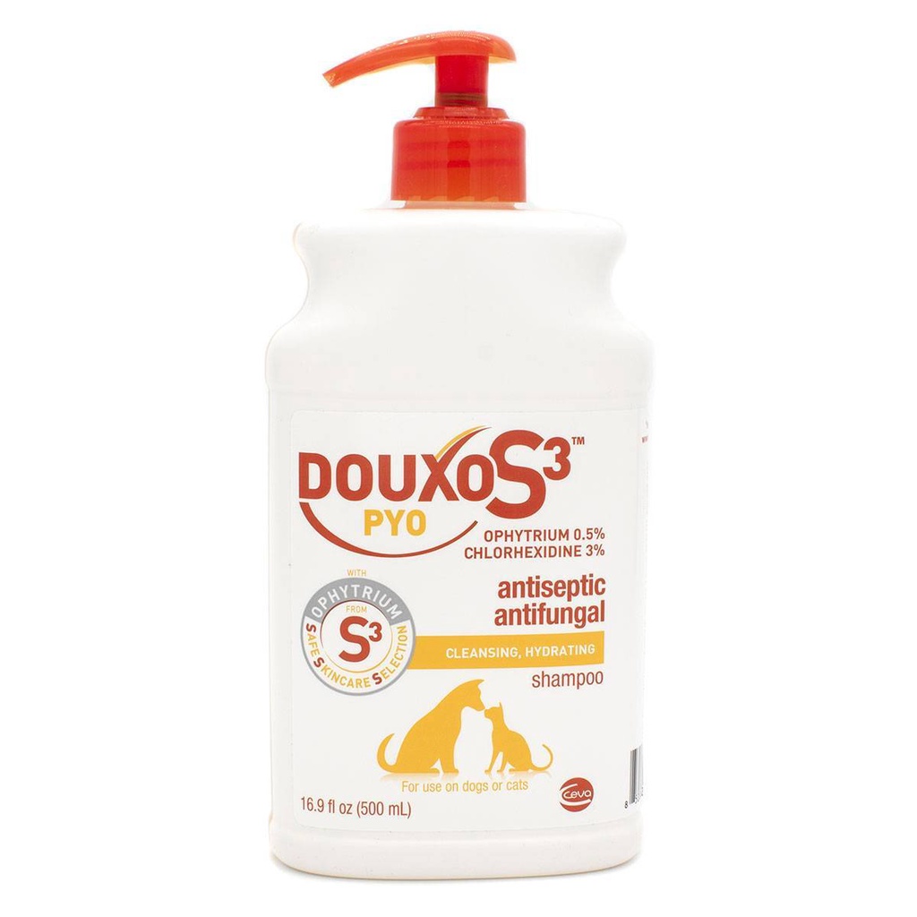 Ceva Douxo S3 PYO latest Douxo 1 Recommended Antifungal Shampoo for ...