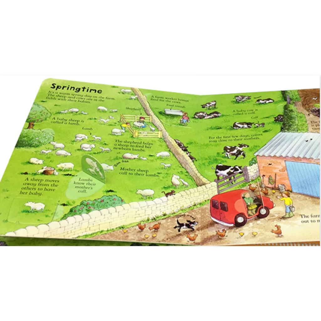 Usborne Lift-The-Flap Book | Shopee Singapore