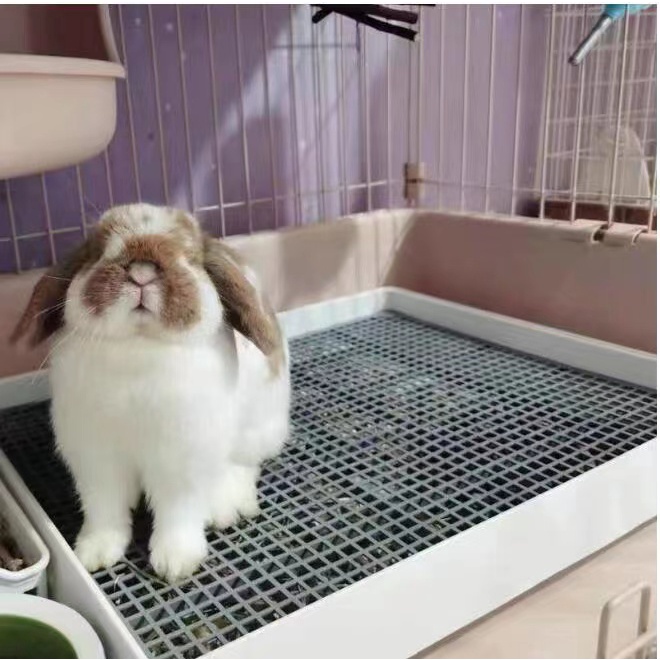 SG SELLER" Rabbit Large Litter Box Guinea Pig Training Pan Cage with ...