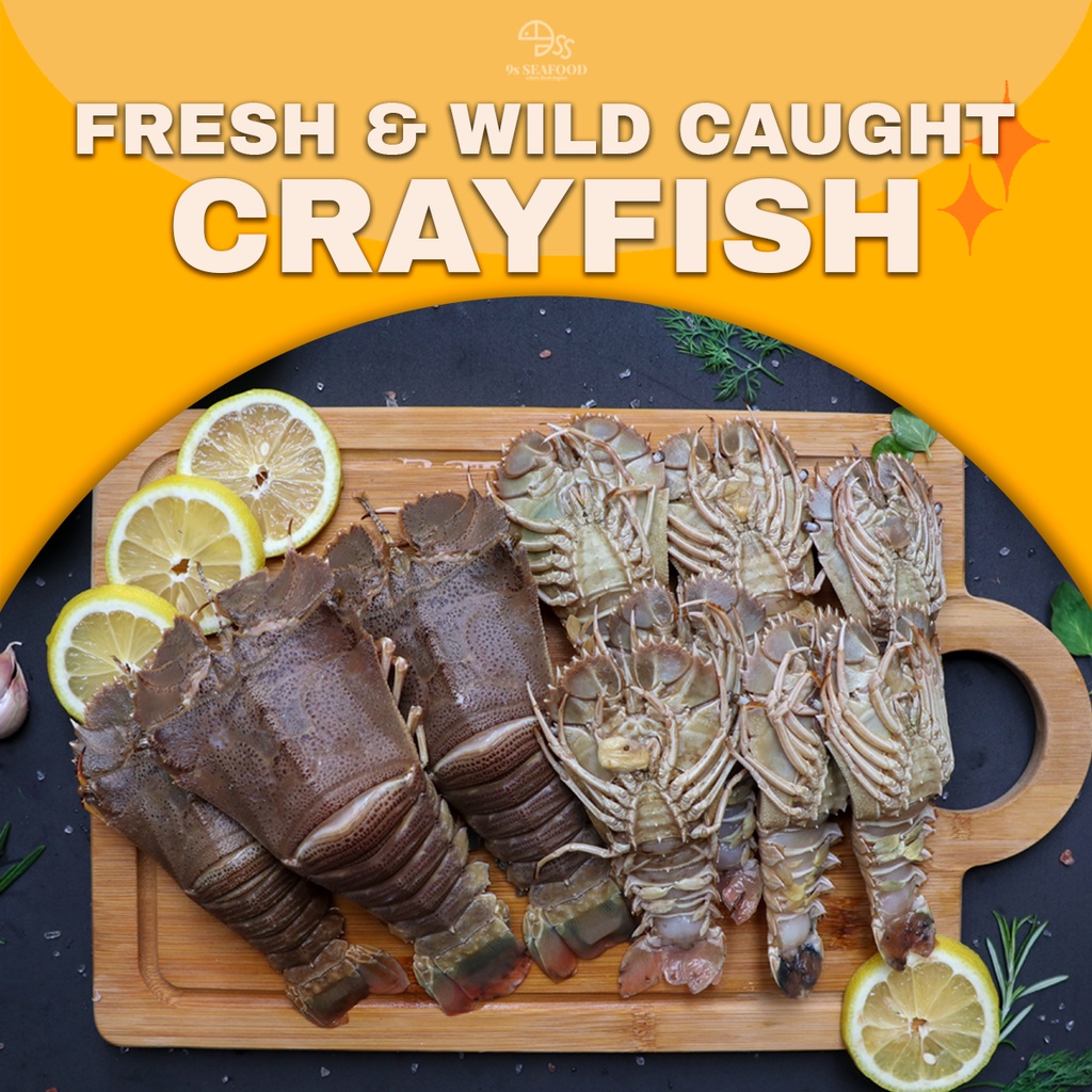 9S Seafood Fresh Crayfish / Slipper Lobster 虾婆 | Shopee Singapore